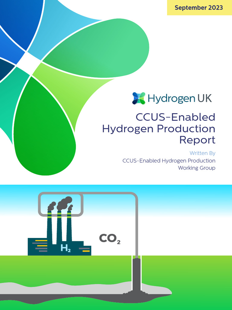 h2 With Ccus | PDF | Carbon Capture And Storage | Science & Mathematics