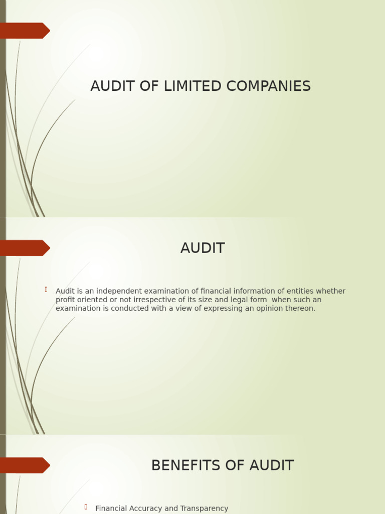 Audit of Limited Companies | PDF