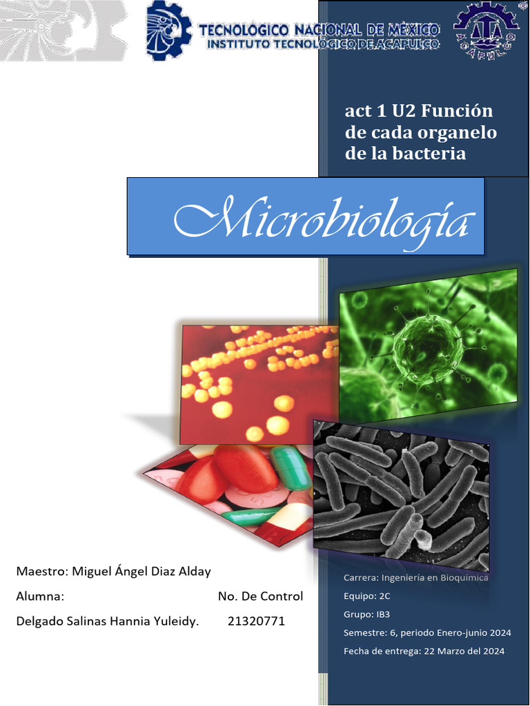 act 1 U2 Función de cada organelo de la bacteria | PDF