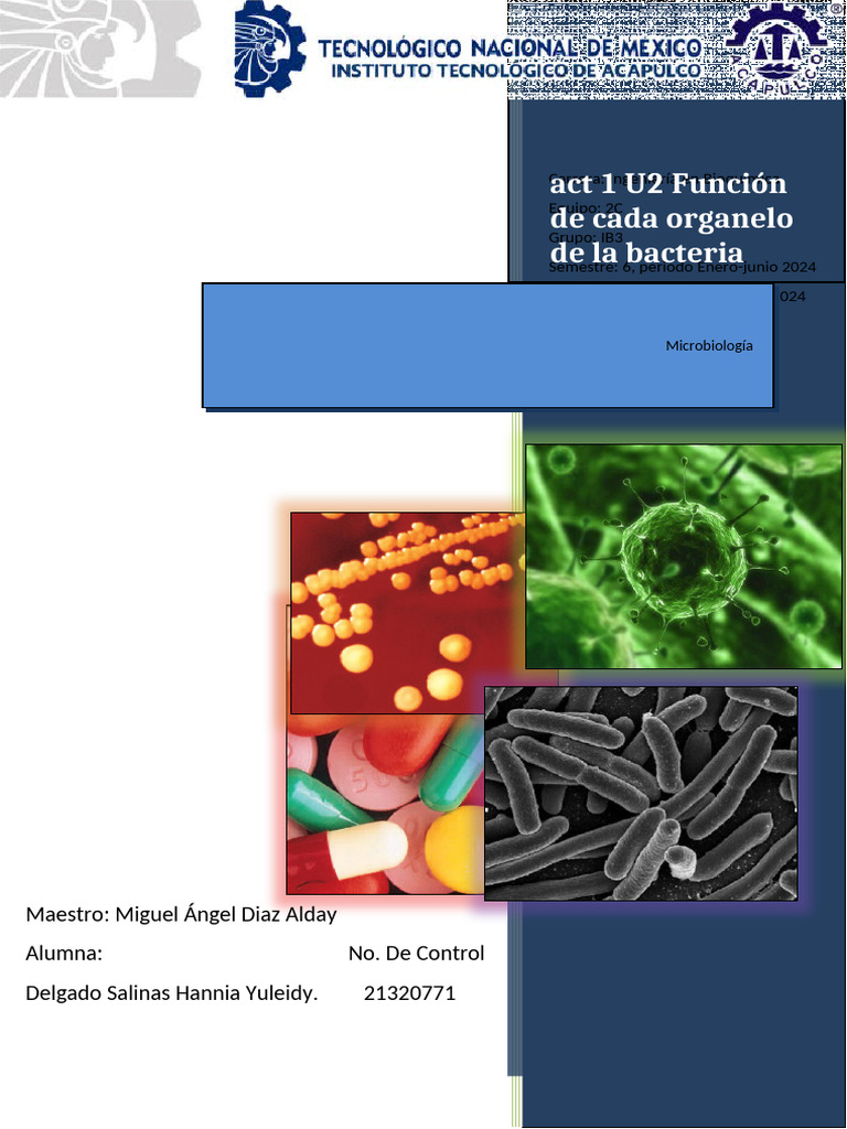 Act 1 U2 Función de Cada Organelo de La Bacteria | PDF