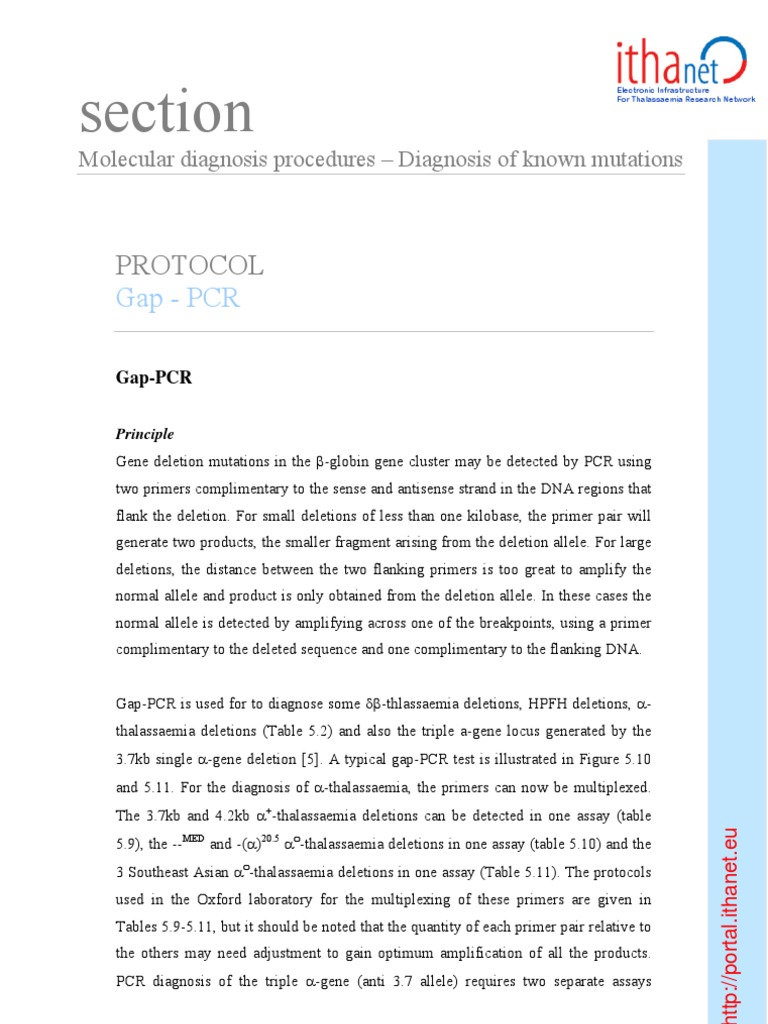 Gap PCR | PDF | Agarose Gel Electrophoresis | Polymerase Chain Reaction