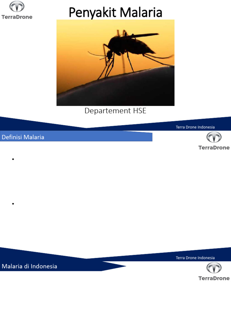 4.2a Malaria | PDF