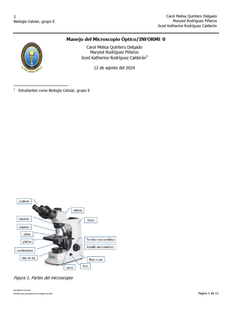 Informe Final Práctica 0, PDF | PDF