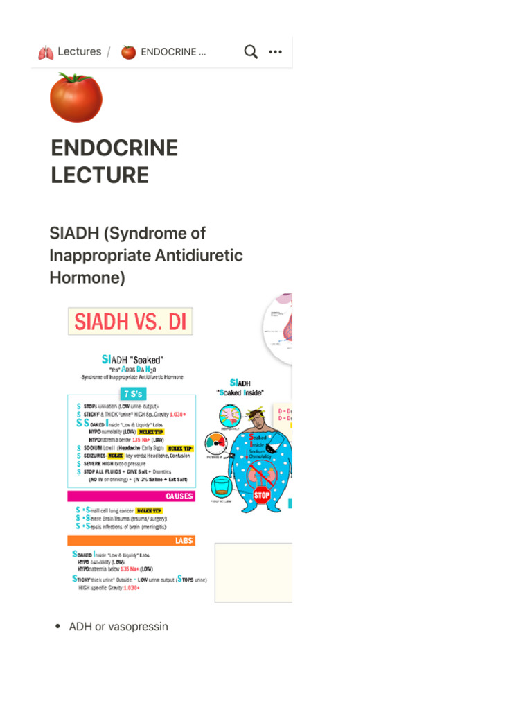 ? Endocrine Lecture | PDF