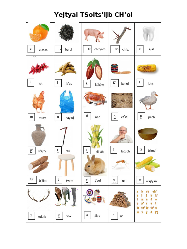 abecedario cho´l | PDF