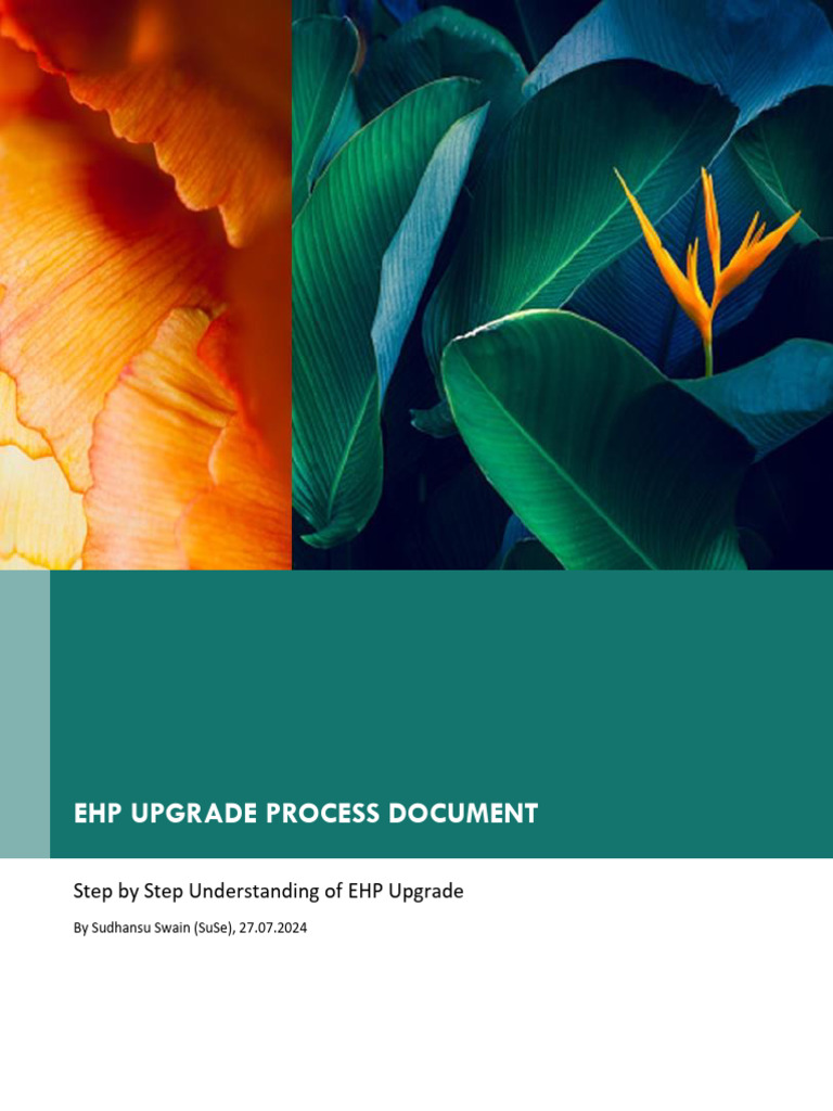 Sap Basis - Ehp Upgrade | PDF