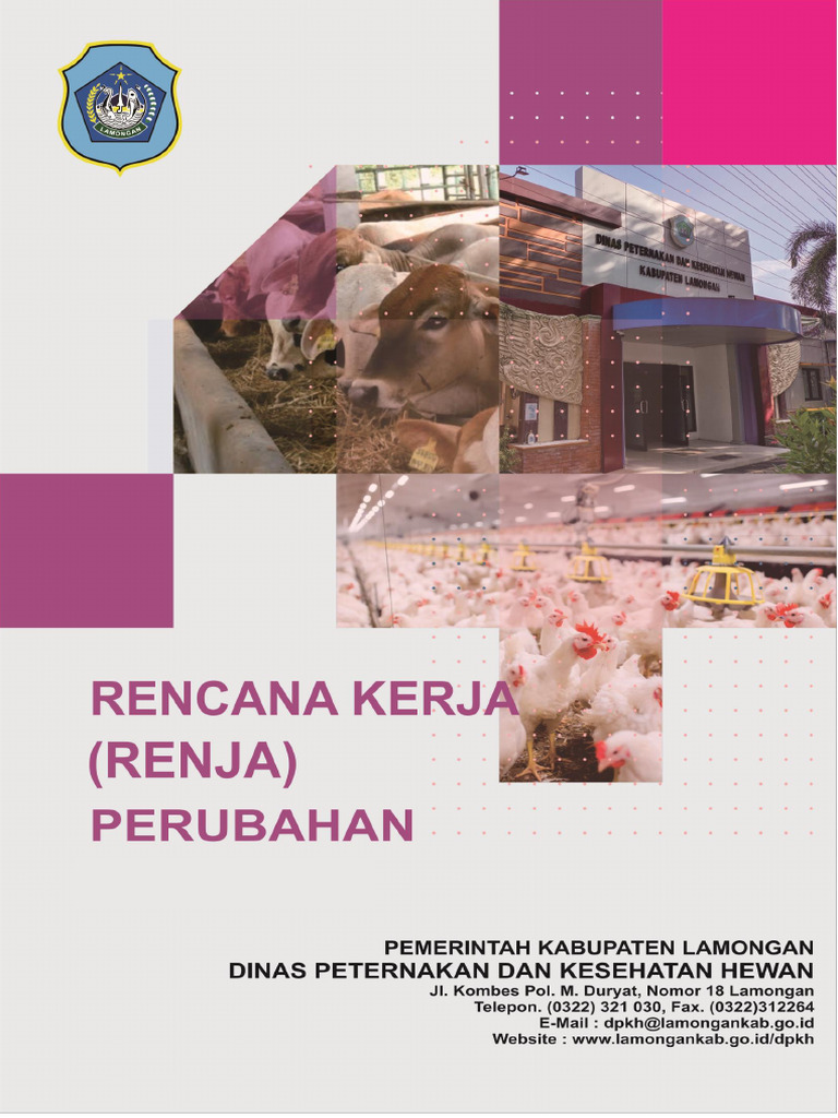 Renja Perubahan 2024 - Rev | PDF