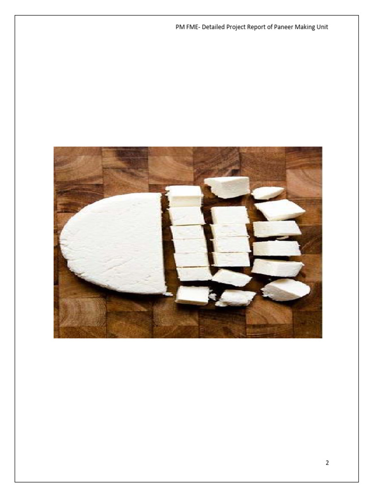 Paneer Processing Project Report | PDF | Milk | Depreciation