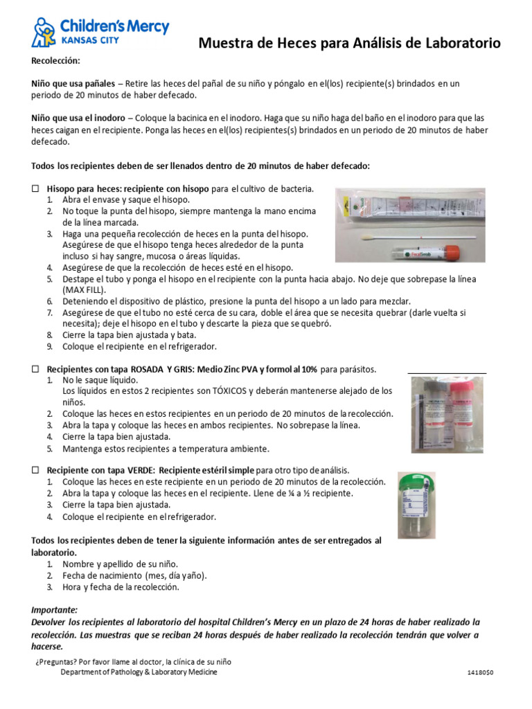 Lab Services Home Stool Collection Instructions Spanish | PDF