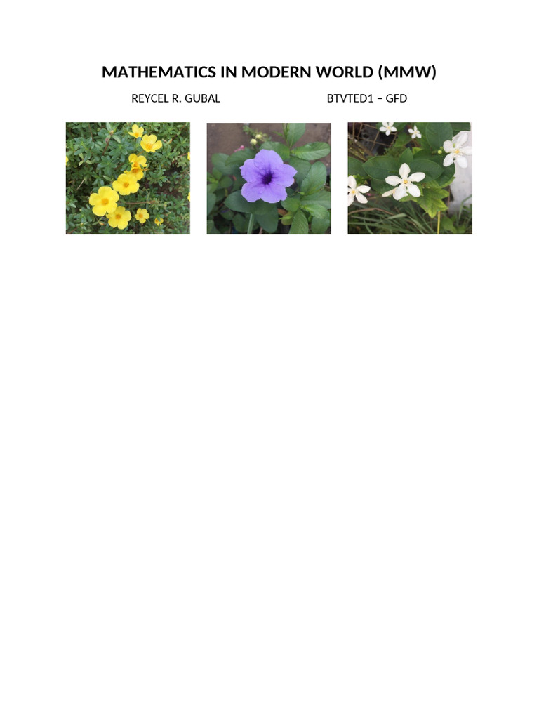 MATHEMATICS IN MODERN WORLD | PDF