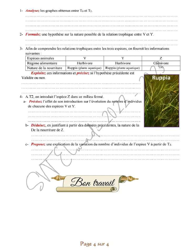 Devoir Science 2022 | PDF