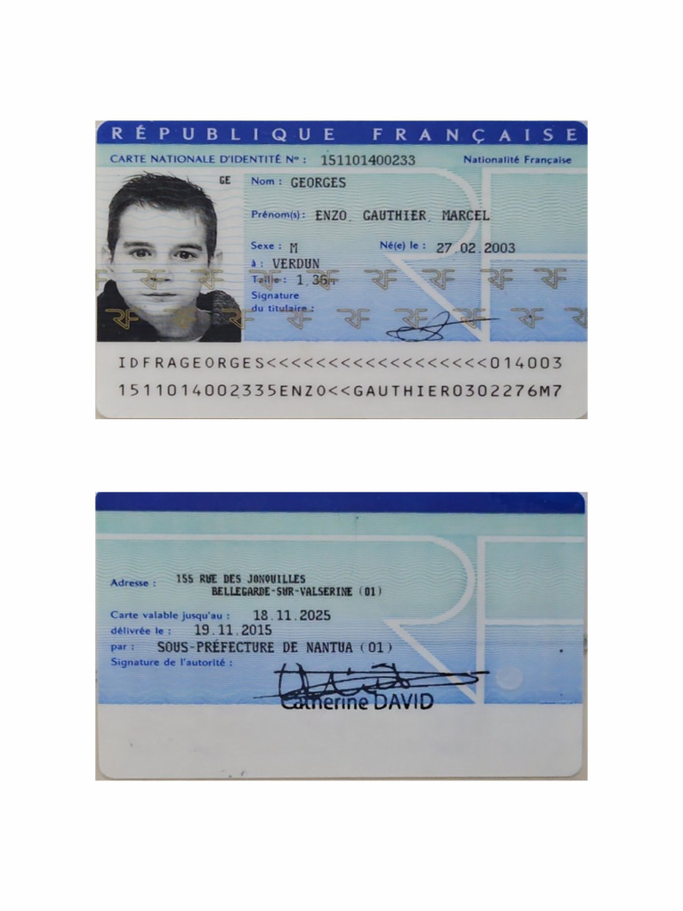 Carte Id | PDF