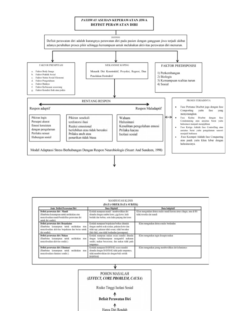 Tugas Individu Kep - Jiwa (Pathway Defisit Perawatan Diri) | PDF