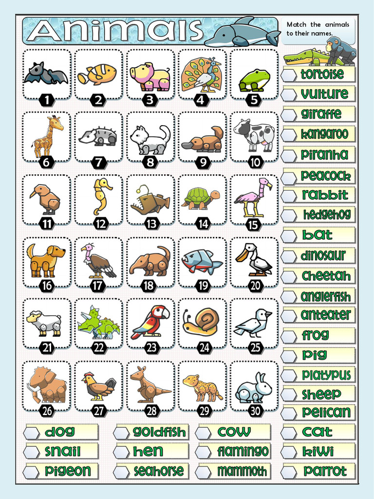Animals Matching Information Gap Activities | PDF