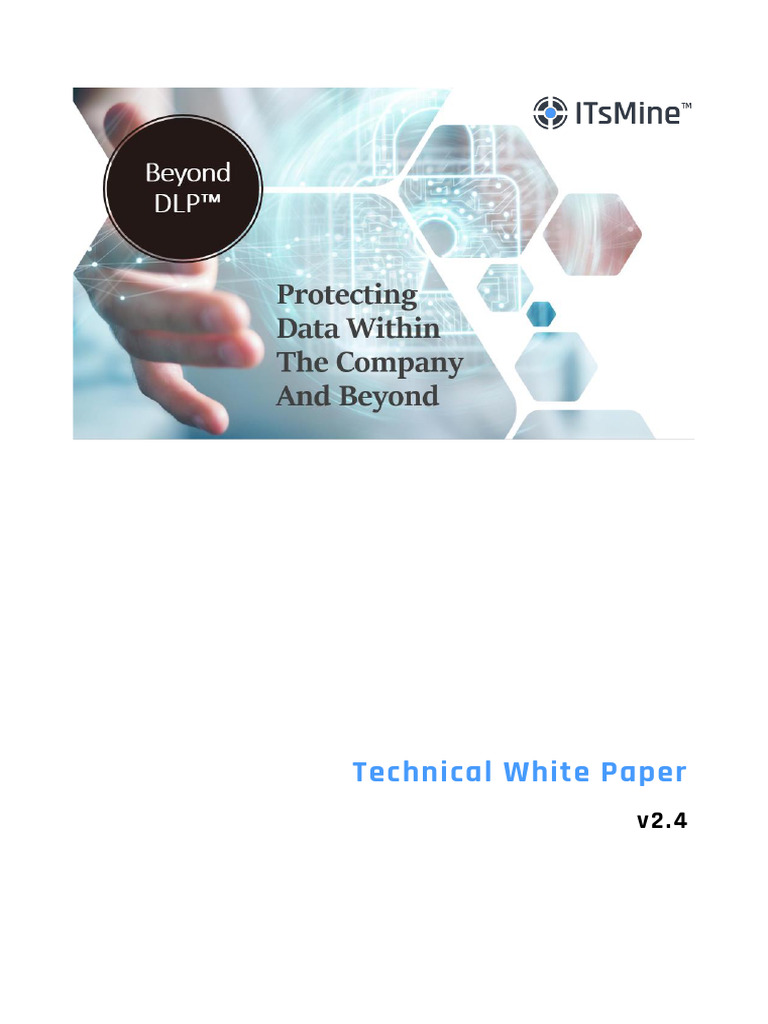 Beyond DLP - Technical White Paper - v2.4 | PDF