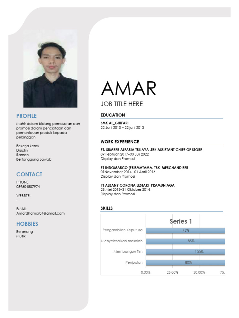 CV Amar 2023 | PDF