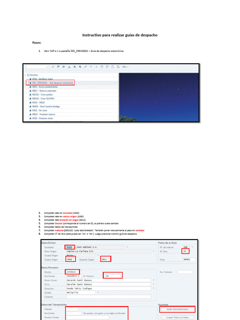 instructivo guias de despacho | PDF