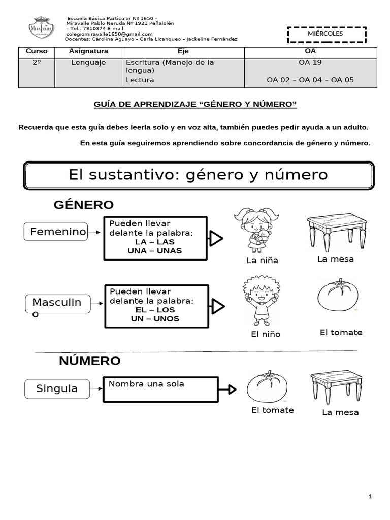 Guía Lenguaje 2° 17 Género y Número | PDF | Sustantivo