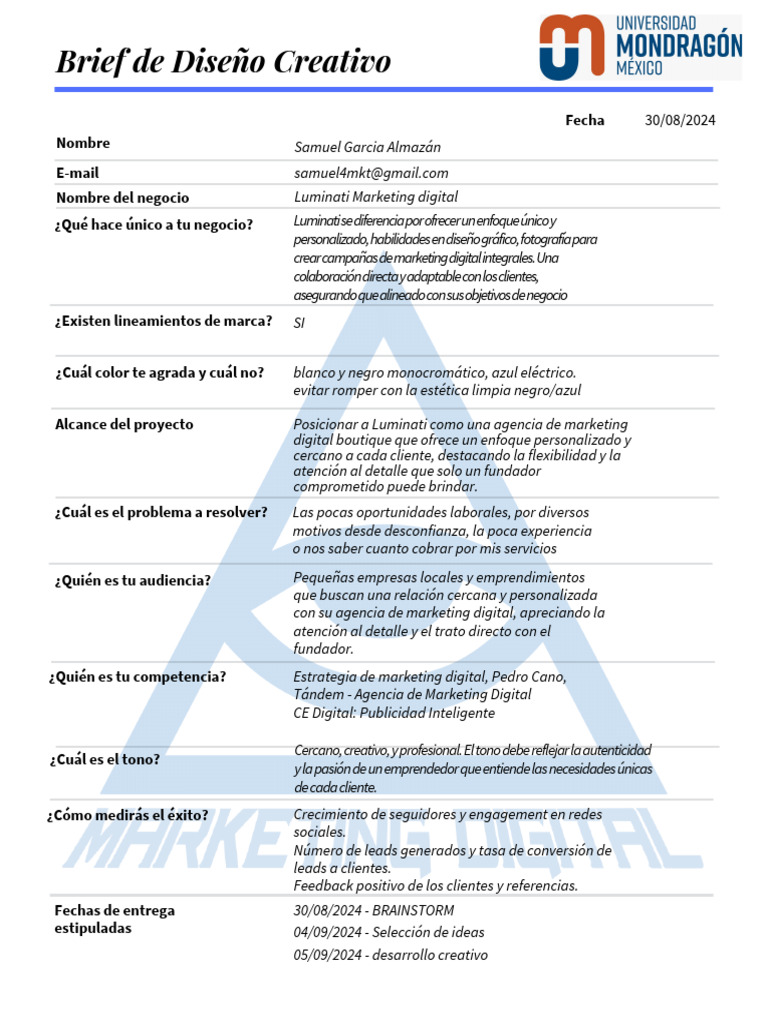 Brief de Diseño Creativo | PDF