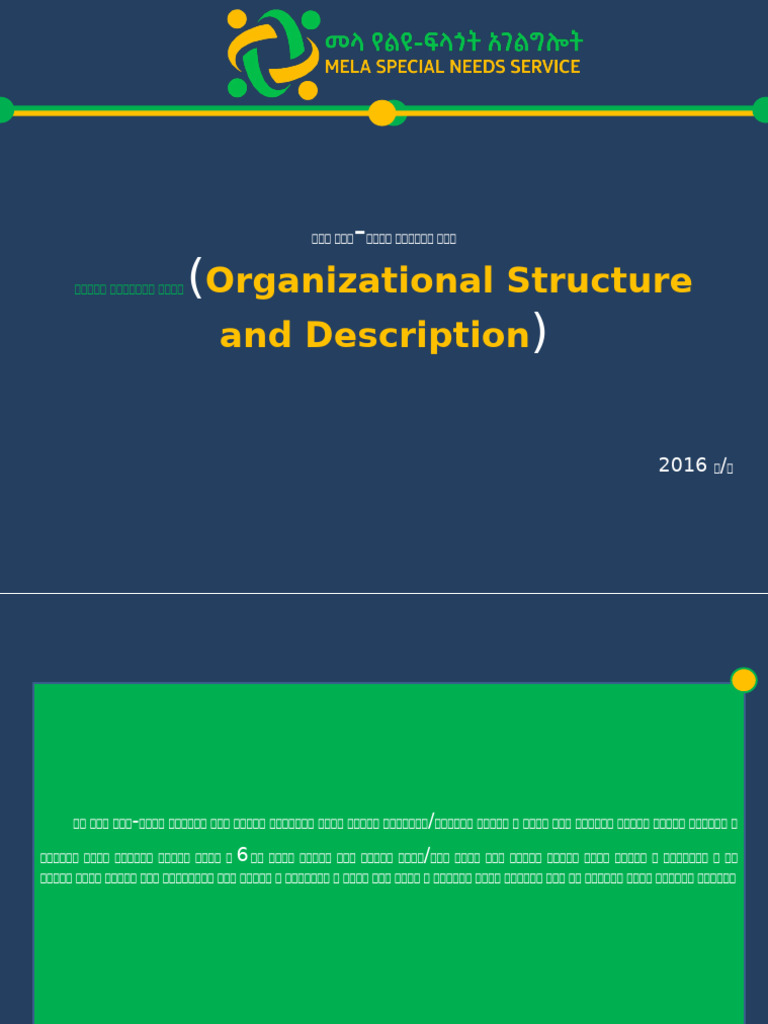 (Organizational Structure Analysis) | PDF