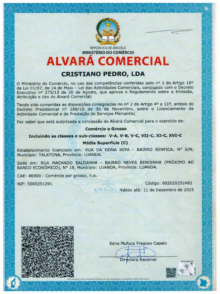 Alvara Comercial (1) | PDF