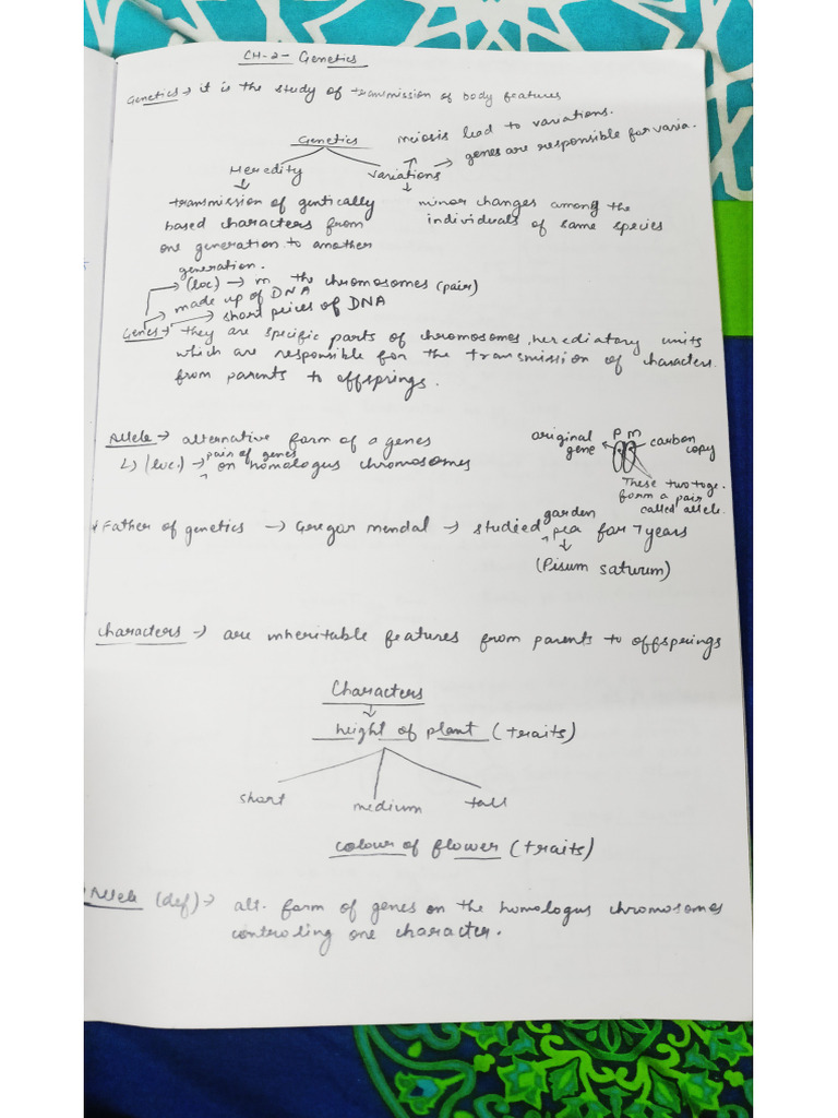 Genetics Notes | PDF