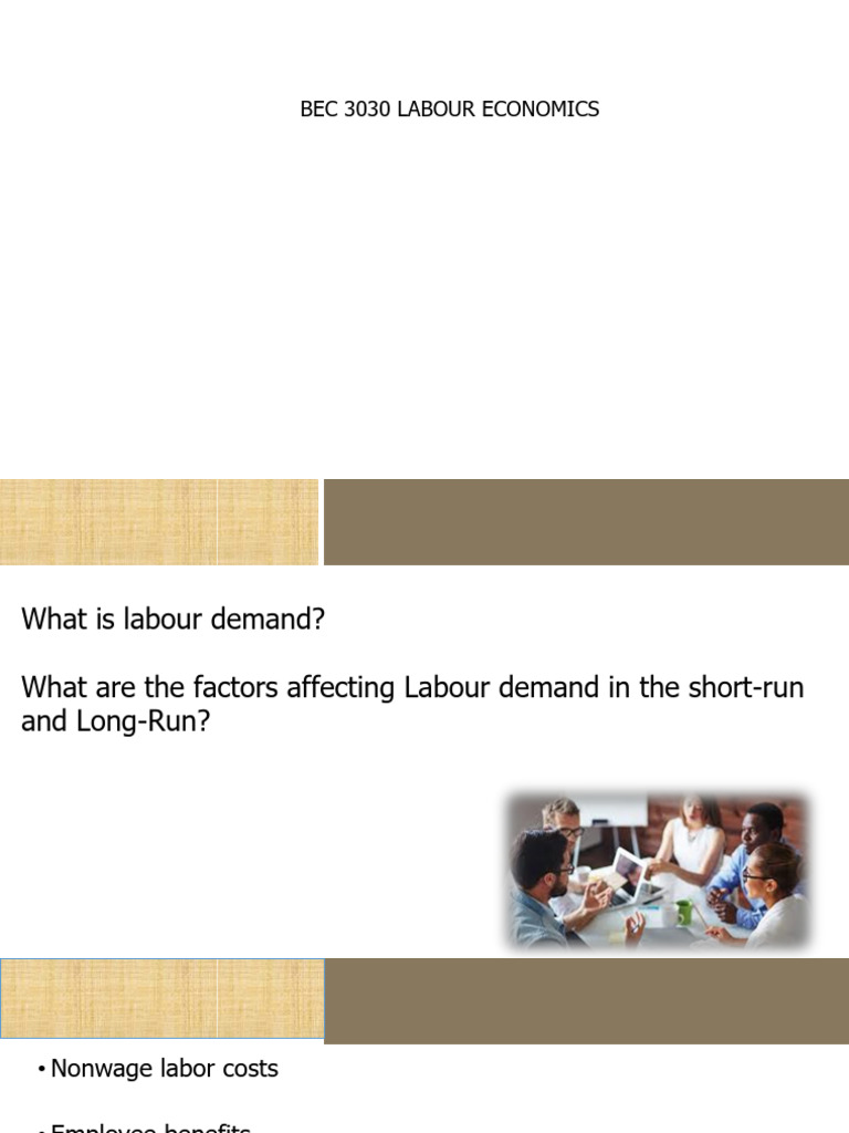 Lecture 3 - Labour Demand Continued | PDF | Labour Economics | Employment