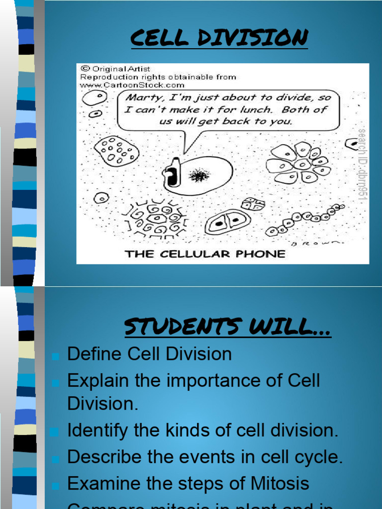 Cell Division | PDF