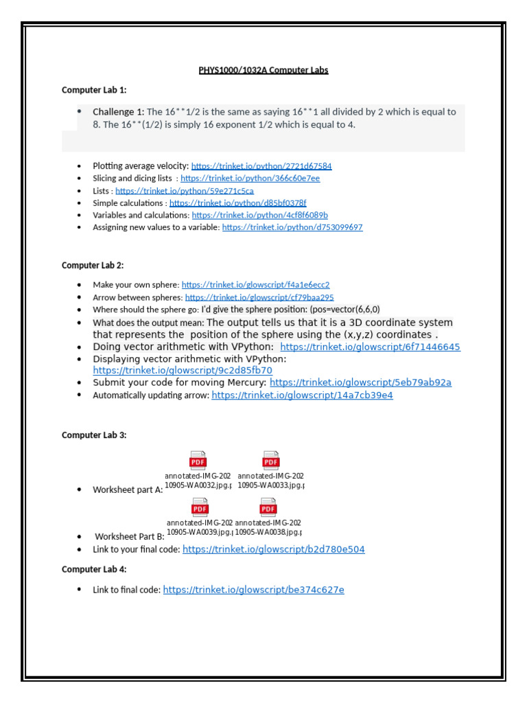 PHYSICS COMPUTER LABS | PDF