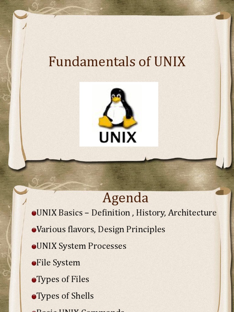 UNIX Training Basics | PDF | Command Line Interface | Unix