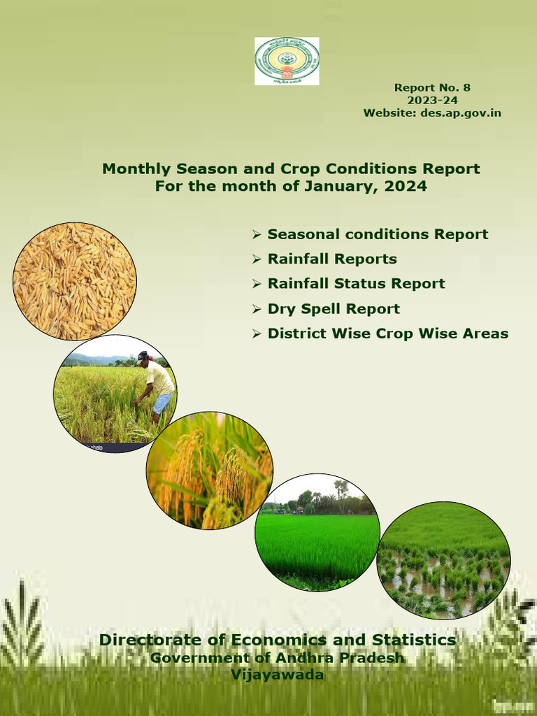 Monthly Season Crop Condition Report Jan 2024 | PDF | Staple Foods ...