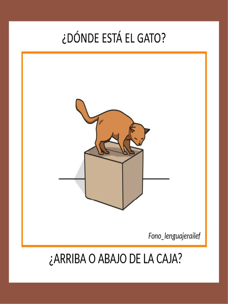 Donde Esta El Gato MM | PDF