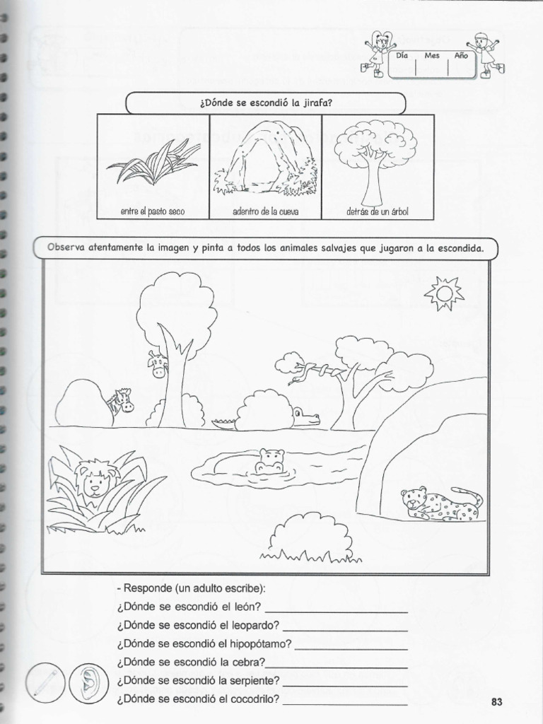 Segunda Parte Comprensión Animales de La Selva | PDF