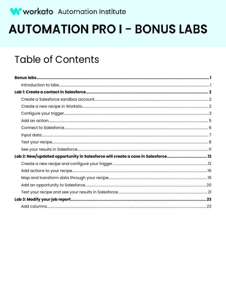 Automation Pro I - Bonus Labs | PDF