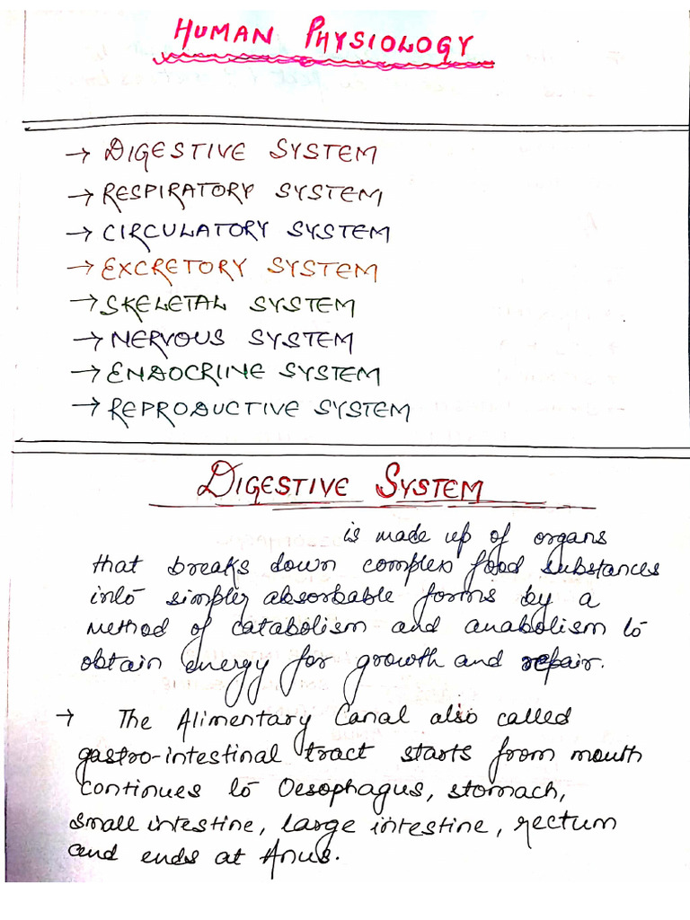 6. biology notes English | PDF