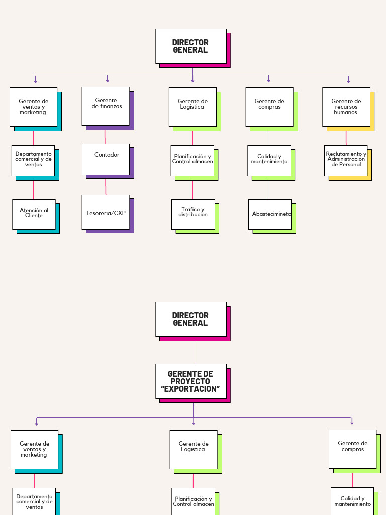 Gráfica Mapa Conceptual Objetivos Moderno Blanco | PDF