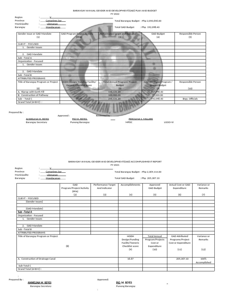 Barangay Annual Gender and Development | PDF