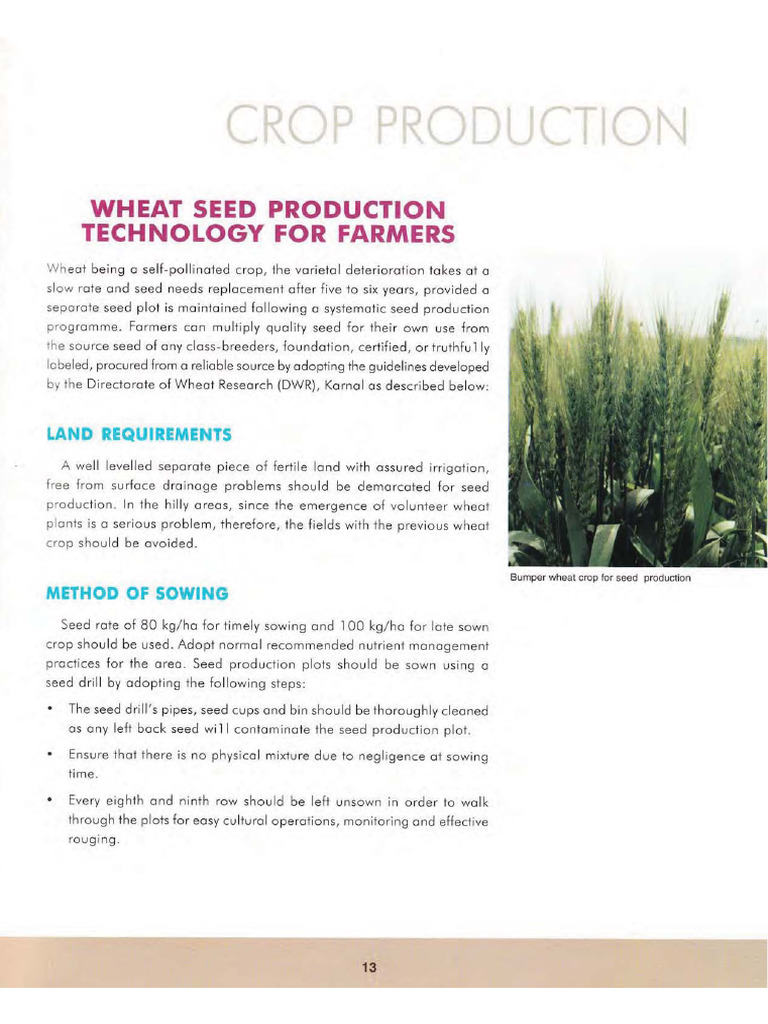 3-Crop Production-Wheat Seed Production Technology For Farmers | PDF