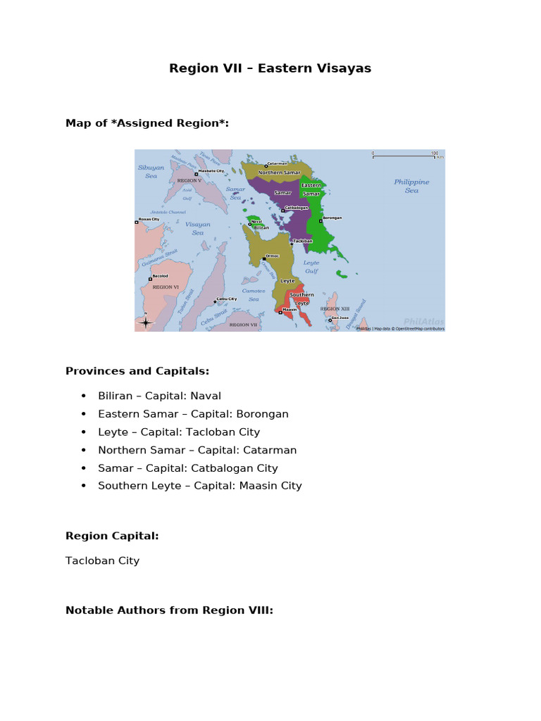 Region VIII | PDF