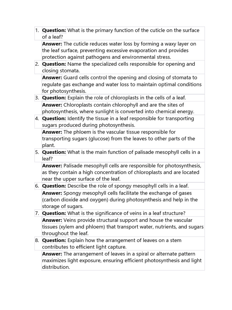 specialized parts and functions of leaf answers | PDF