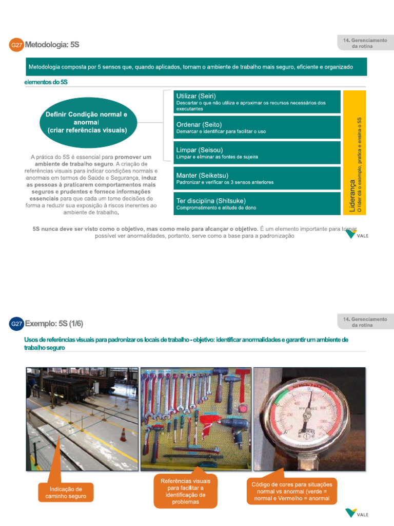 5S VPS Vale | PDF
