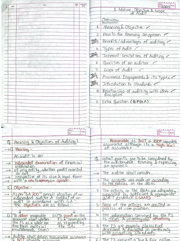 Audit Notes (Full) | PDF
