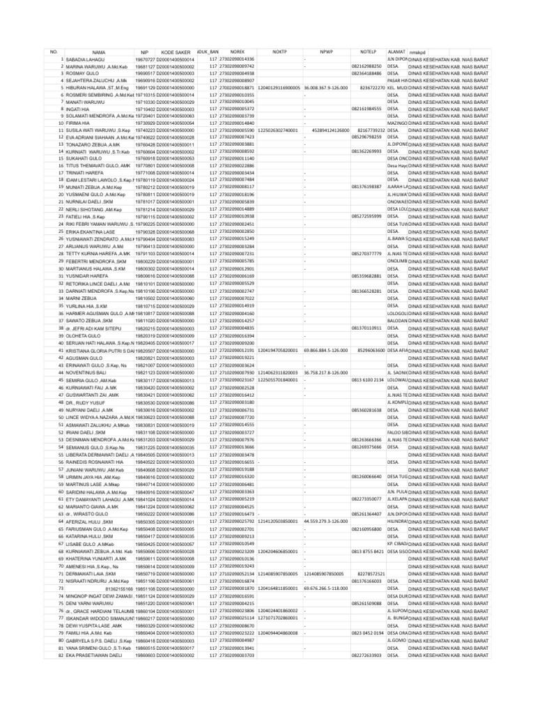 Data Pns Dinkes | PDF