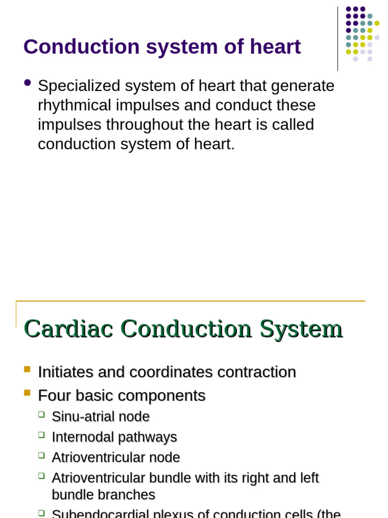 Cardiac Conduction System | PDF