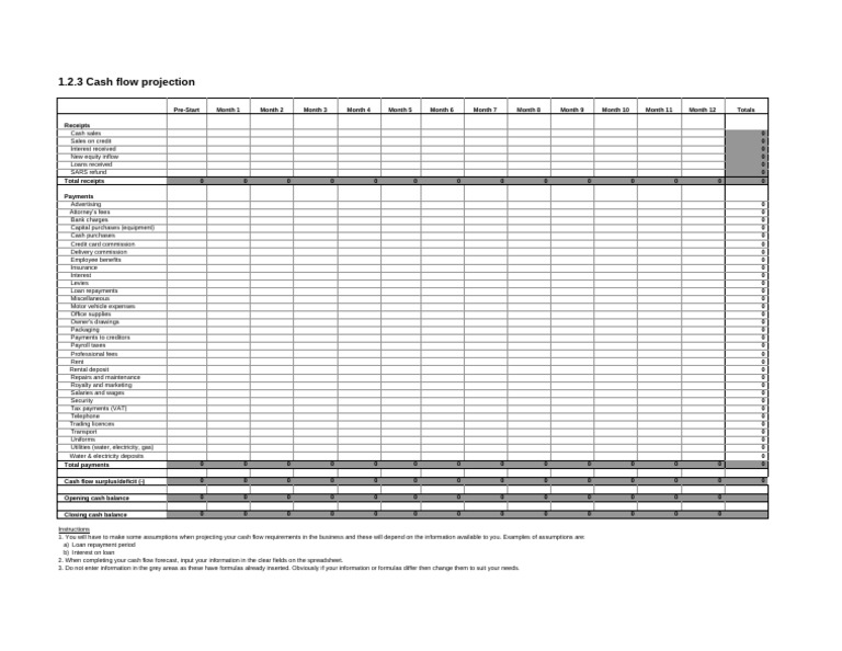 1.2.3 Cash Flow Projection | PDF
