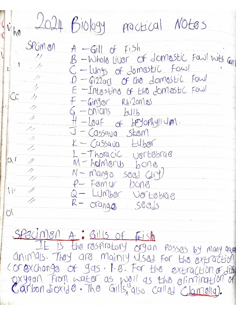 2024 Biology Specimen Notes. | PDF