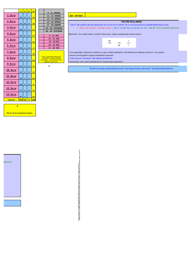D2 Dikkat Testi | PDF