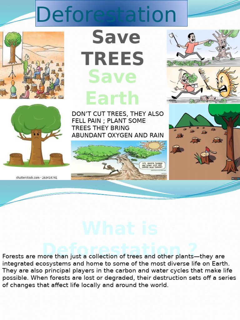 Deforestation | PDF
