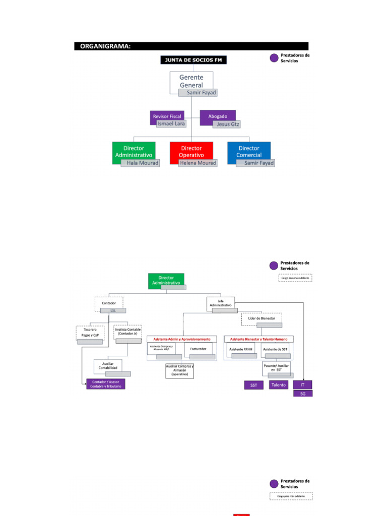 Organigrama de Fayad Mourad | PDF
