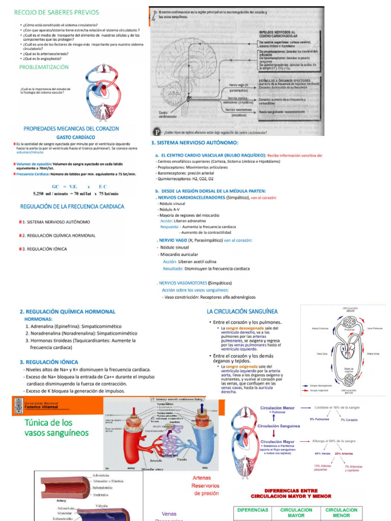 Sem6 Teoria Fisio | PDF